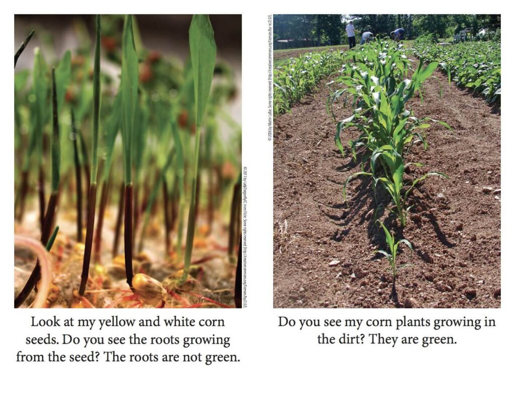 Vocabulary Instruction for ELLs