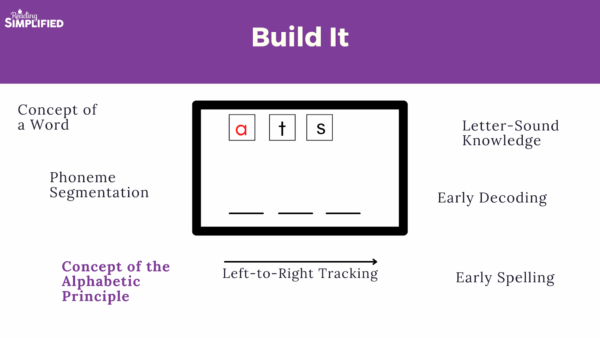 The Alphabetic Principle: Paving the Way to Learning to Read | Reading ...