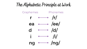 The Alphabetic Principle: Paving the Way to Learning to Read | Reading ...