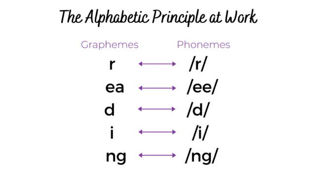 The Alphabetic Principle: Paving the Way to Learning to Read - Reading ...