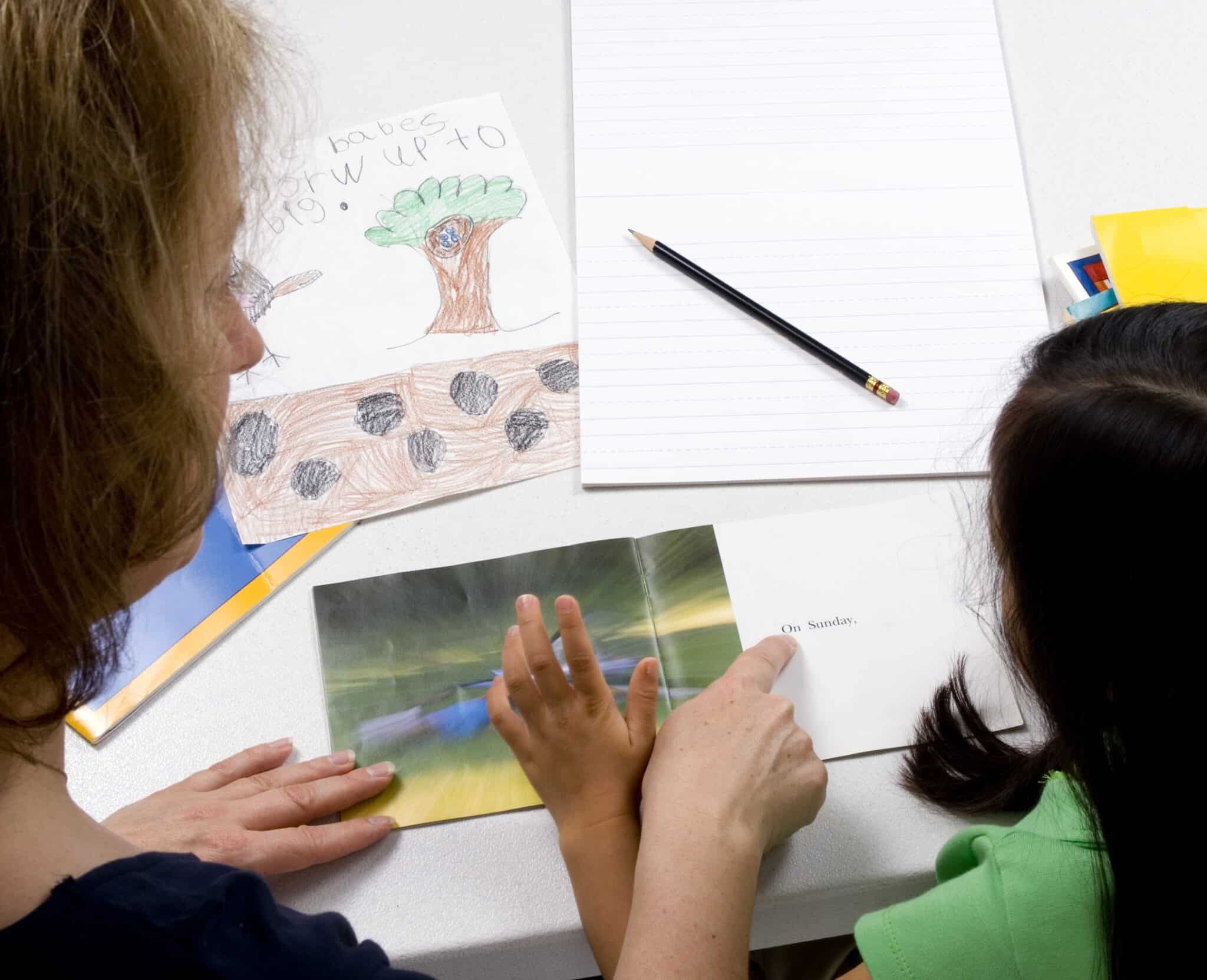 Set for Variability: A Reading Strategy You Might Not Know About ...