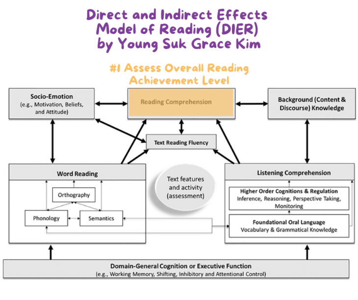 Why Accurate Diagnostic Assessment is Crucial Before Starting Reading ...